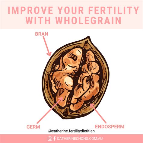 Folic Acid Versus Active Folate Supplement In Pregnancy Artofit
