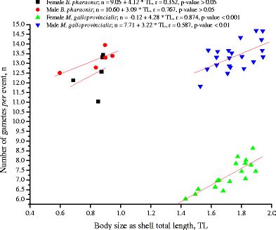 Log Log Relationship Between Body Size As Expressed By Shell Total Download Scientific Diagram