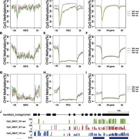 The Dna Methylation Pattern At Imprinted Genes A C Average Dna
