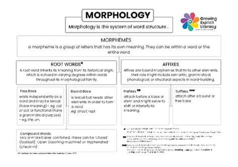 Morphology Poster By Growing Explicit Learning Tpt