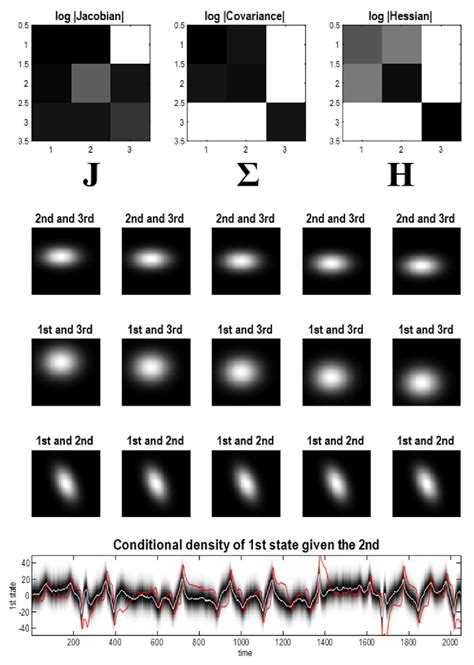 Nonequilibrium Steady State Density Upper Panel These Images Report Download Scientific
