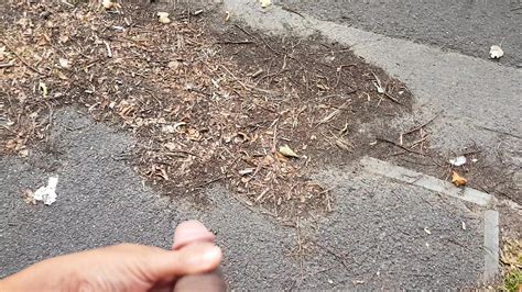 Roadside Wank Eporner