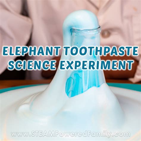Elephant Toothpaste Science Fair Project Board