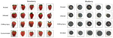 A Self Supervised Anomaly Detector Of Fruits Based On Hyperspectral Imaging