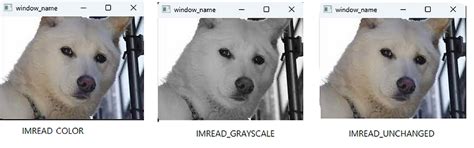 1 Opencv C 기초 Imread Imshow Cvtcolor Resize Hoe