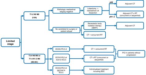 Treatment Algorithm For Limited Stage Sclc Ln Lymph Node Ct Download Scientific Diagram
