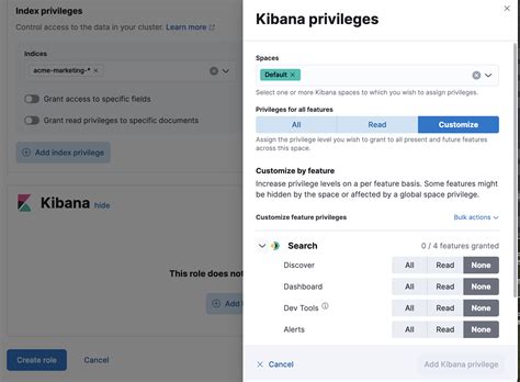 Serverless Project Custom Roles Elastic Docs