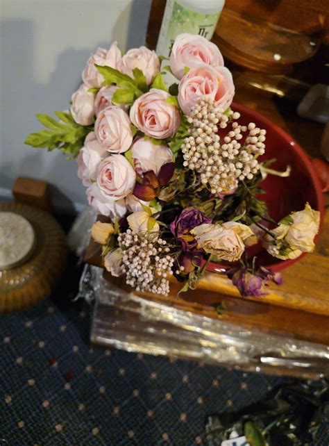 Starlight Classic Added A New Photo Starlight Classic