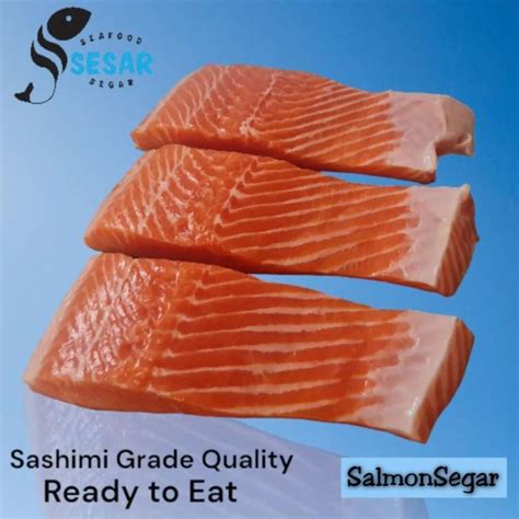 Jual Ikan Salmon Segar Premium 500gr Fillet Salmon Trout Norway Di Seller Salmonsegarjakarta