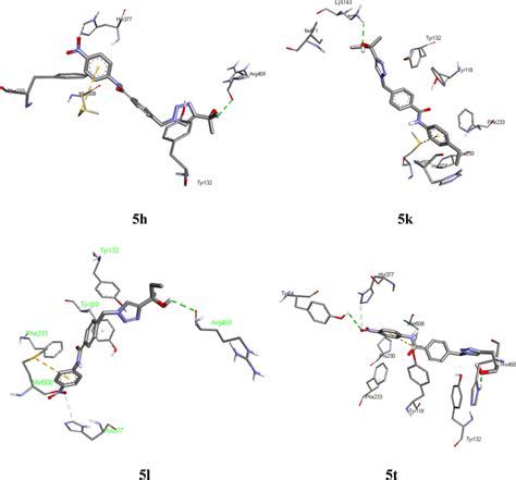 Binding Conformation And Interactions Of Compounds 5h 5k 5l And 5t