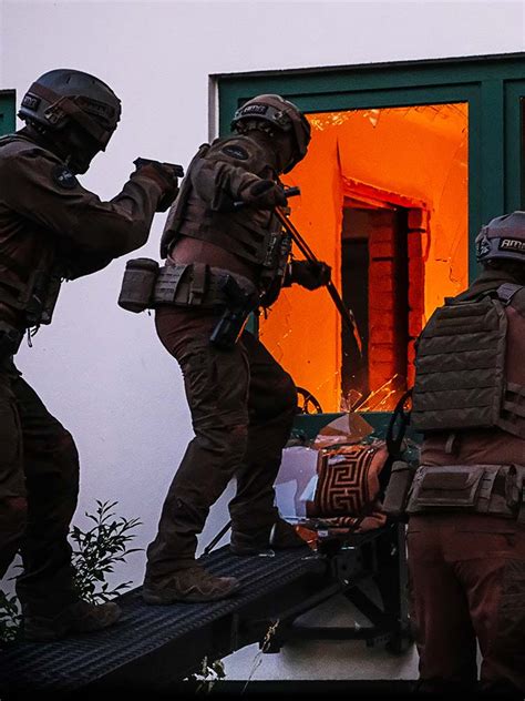 Reality Check Dynamic Entry Uf Pro