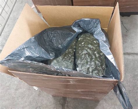 Иззеха над 350 кг марихуана поръсена с кафе в София СНИМКИ Nova