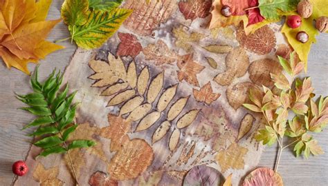 Begini 5 Langkah Cara Membuat Batik Ecoprint Yang Unik