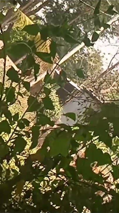 မြန်မာချောင်းရိုက် Youtube