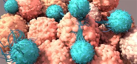 Asco 2022 Badanie Checkmate 9la Immuno Onkologia Pl