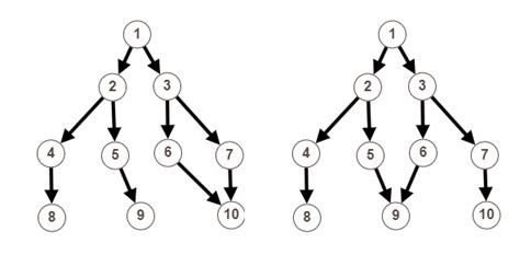 General Topology Graph Isomorphism Checkingdetection For Directed Acyclic Graphs