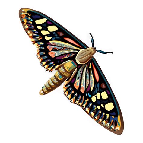 Download Moth Clipart Png 05242024
