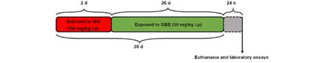 Flow Chart Of Research Design Download Scientific Diagram