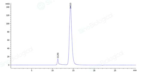 Recombinant Mouse Mesothelin Protein 5a0830 M08h Sino Biological