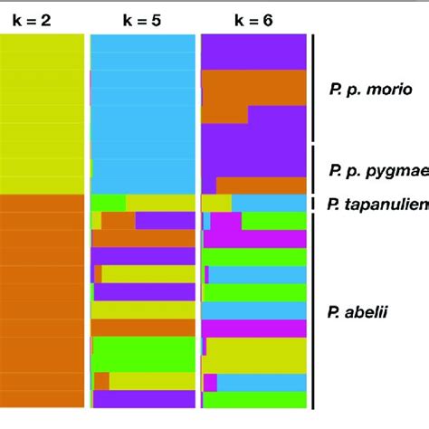 Bayesian Clustering Analysis Of Population Structure Of The Genus