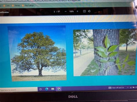 Bio Lab Exam 3 2022 Flashcards Quizlet