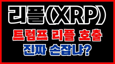 리플 트럼프 머스크 리플 셋이 뭉쳤다리플 리플코인 리플전망 암호화폐 Youtube