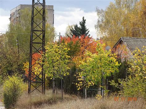 Столична община район „Нови Искър“ Актуална информация работно време и контакти