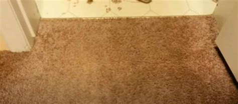 How To Hide Speaker Wire Methods For A Cleaner Look