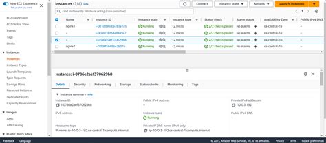 GitHub MayadaMagdy Lab Aws