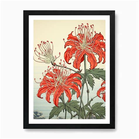 Higanbana Red Spider Lily 2 Vintage Japanese Botanical Canvas Print By