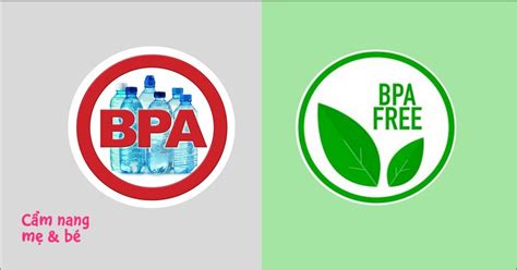 Bpa Bpa Free Là Gì Tại Sao Nên Chọn Sản Phẩm Chứa Bpa Free