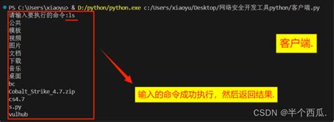 Python 渗透测试：反弹 Shell （反弹 后门 程序免杀）python反弹shell Csdn博客