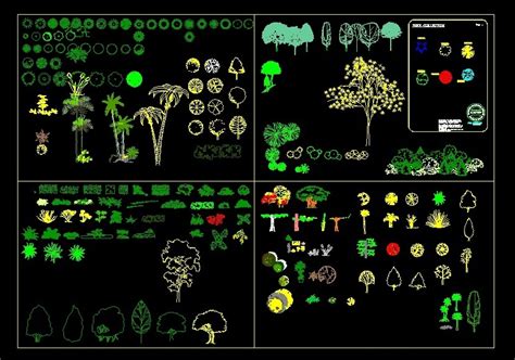 Trees Palm Trees Shrubs Front View Elevation And Top View Plan D DWG Block For AutoCAD