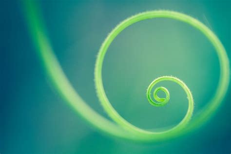 Evonik Leading Beyond Chemistry