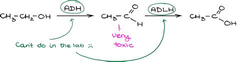 Oxidation Of Alcohols Overview — Organic Chemistry Tutor