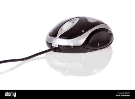 Mouse Front View Hi Res Stock Photography And Images Alamy