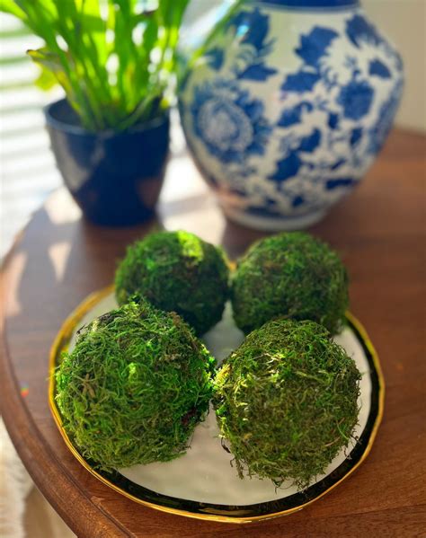 Moss Balls 4 Decorative Moss Balls Table Decor Moss Orbs Bowl Fillers