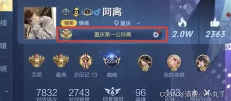 王者荣耀选手退役后转行python，自学的那种网友中国版 阿甘” Csdn博客