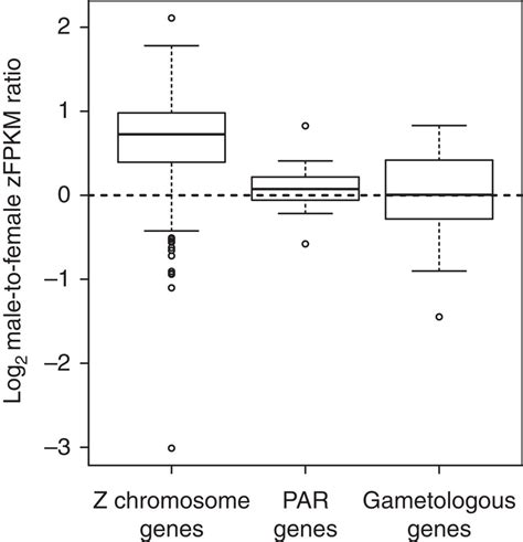 Male To Female Expression Ratios Log2 For Genes On The Collared Download Scientific Diagram