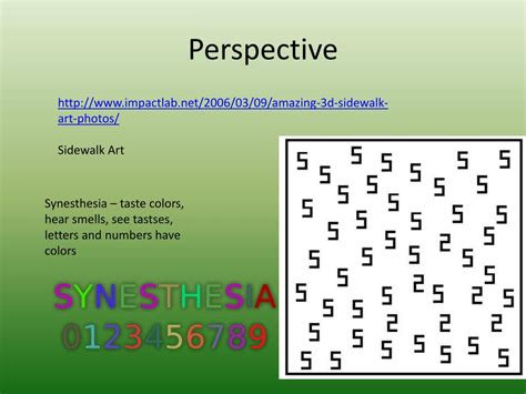 Ppt Perceptual Interpretation Powerpoint Presentation Free Download Id2116844