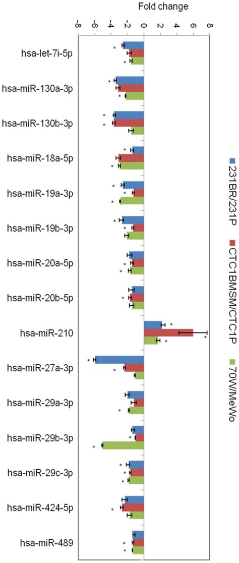 Pathway Focused Miscript Mirna Pcr Array Was Used To Analyze The Mirnas Download Scientific