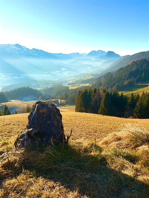 Sally Cocker South Cave