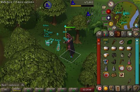 npc indicator ghosting between sessions · issue 14123 · runelite