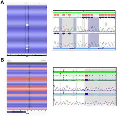 Causative Heterozygous Mutations Which Had Previously Gone Undetected
