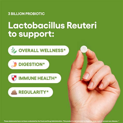 Lactobacillus Reuteri Prob0cwvprykl Ec