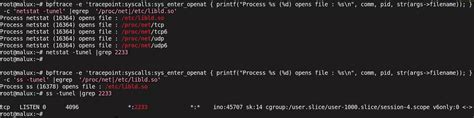 Linkpro An Ebpf Based Rootkit Hiding Malicious Activity On Gnulinux