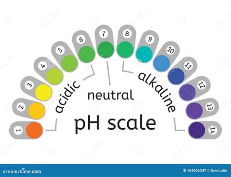 Vector Ph Scale Measurement Stock Vector Illustration Of Fluid