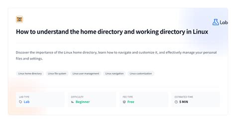 How To Understand The Home Directory And Working Directory In Linux Labex