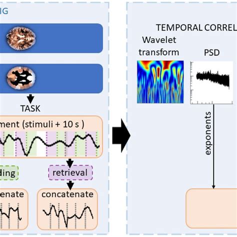 Flow Chart Of Data Preprocessing And Analysis Performed As Described In Download Scientific