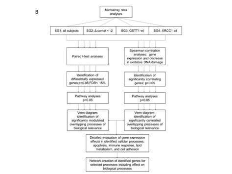 b microarray data analyses in order to analyze the effect of the